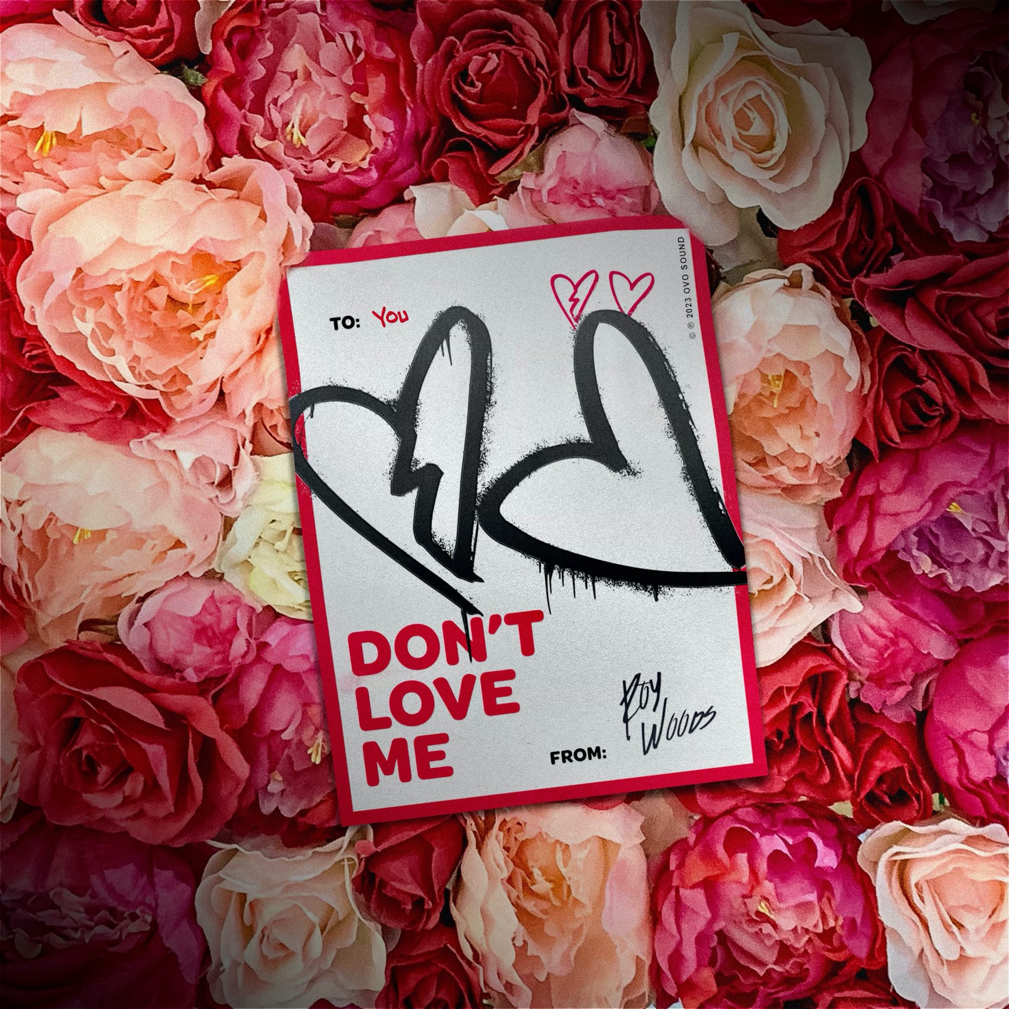 Roy Woods Unveils New Single "Don't Love Me"