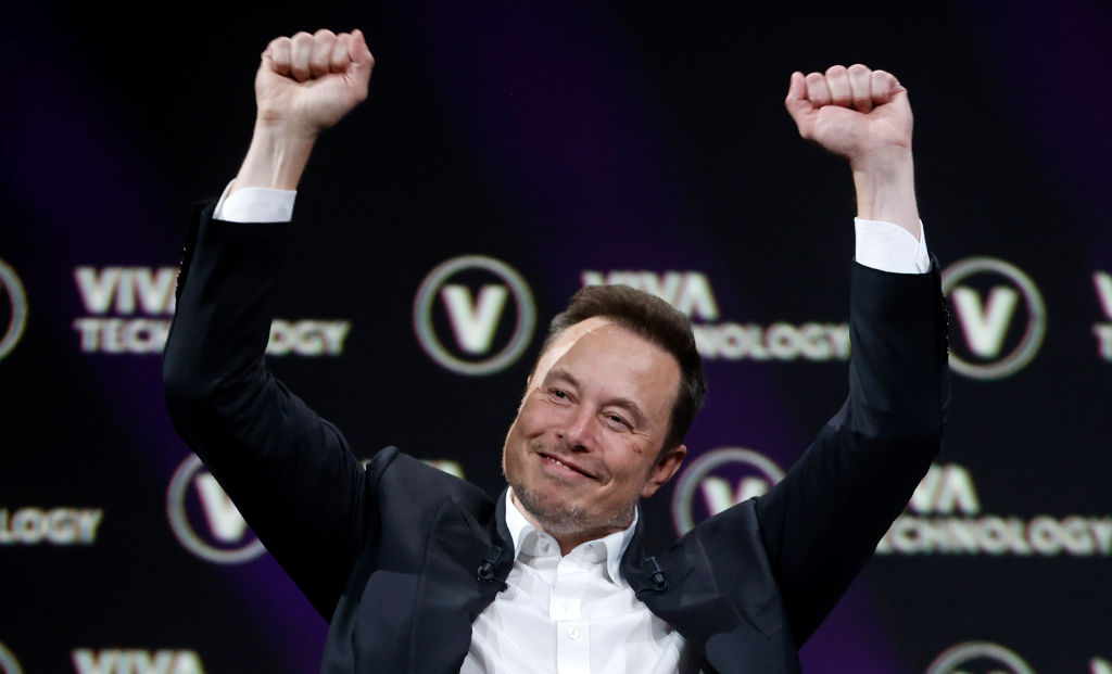 Elon Musk Accepts Training Invite From MMA Legend