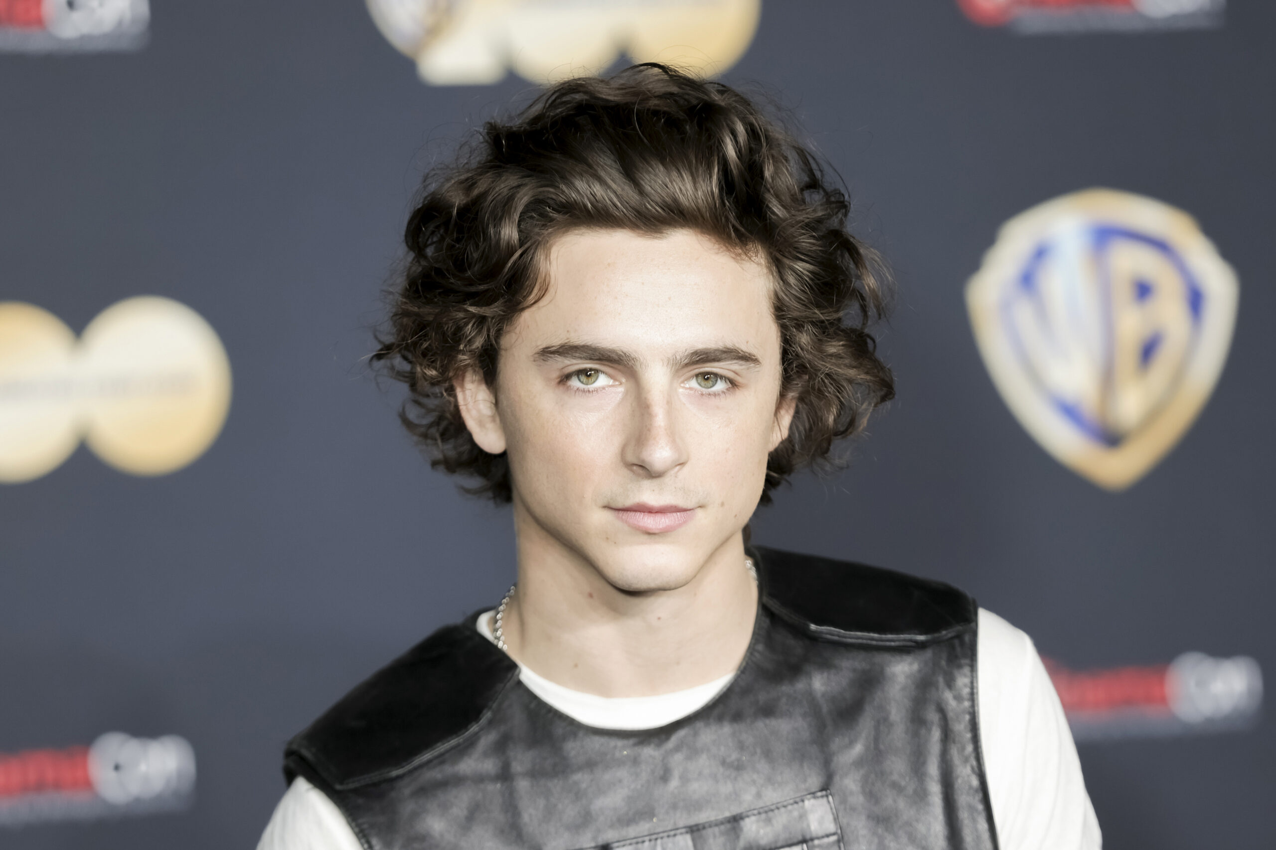 Timothee Chalamet Dazzles In Timothee Chalamet Dazzles In