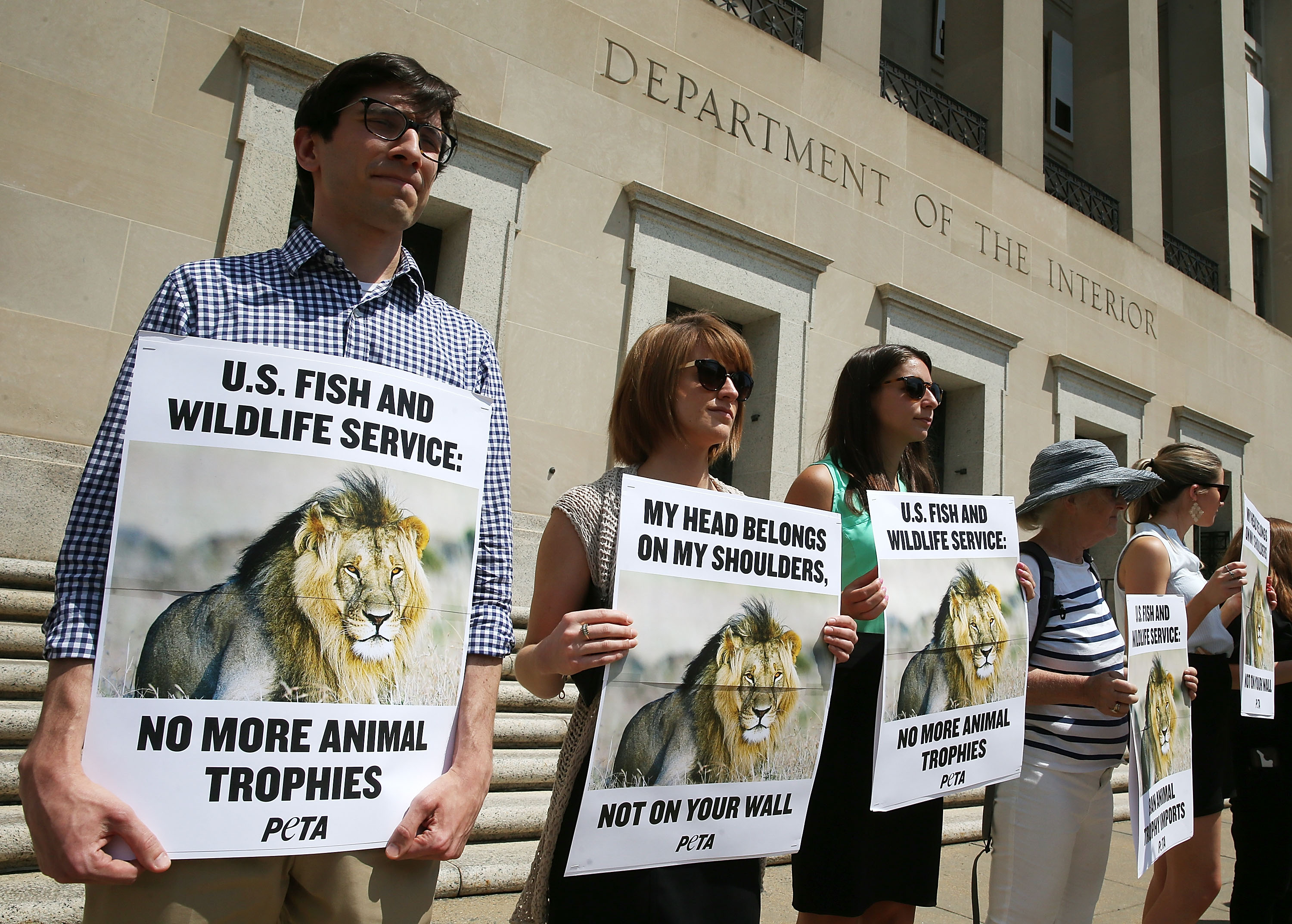 Jimmy's Famous Seafood Reinvokes "Kitten Slaughter" Scandal, PETA Takes ...