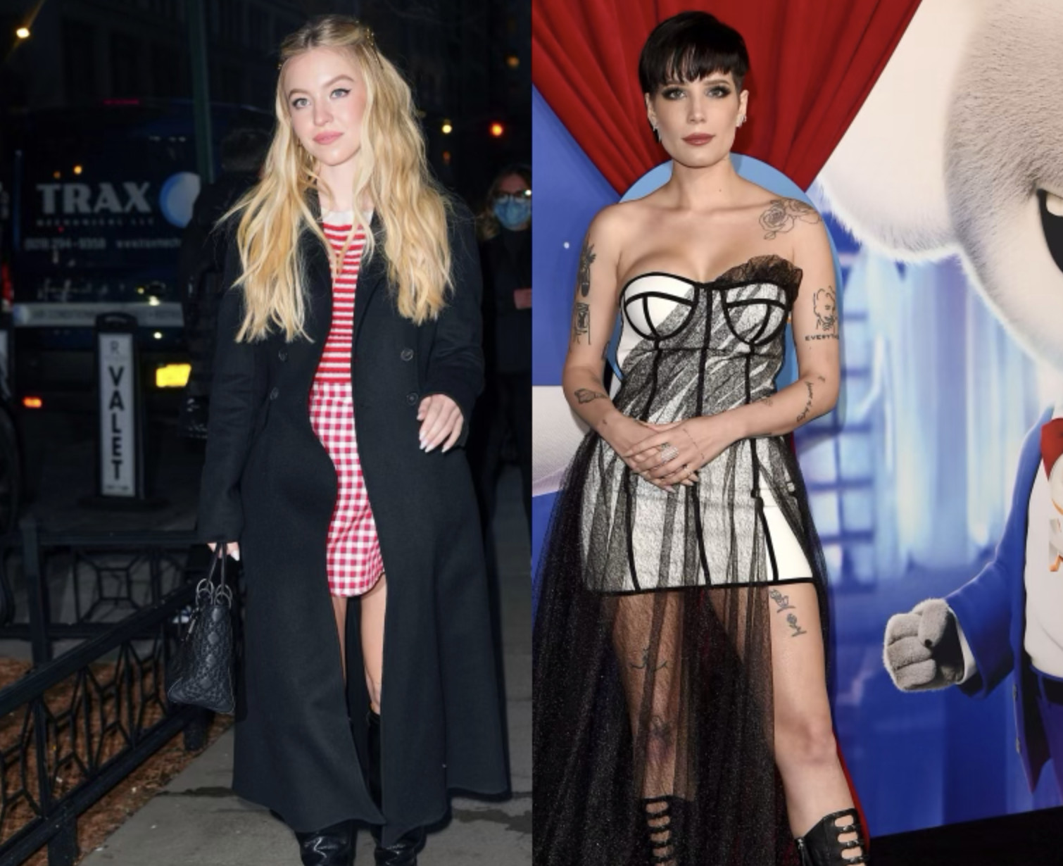 Halsey Will Make Her Acting Debut Alongside Sydney Sweeney In "National ...