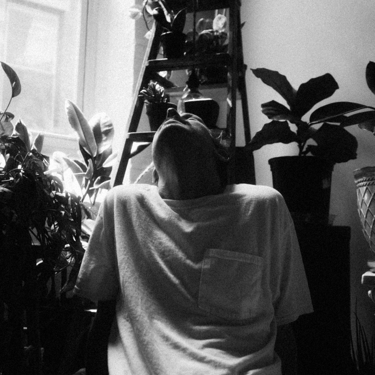 Asher Roth Announces "Greenhouse Effect Vol. 3" With A Fan-Produced 3-Pack