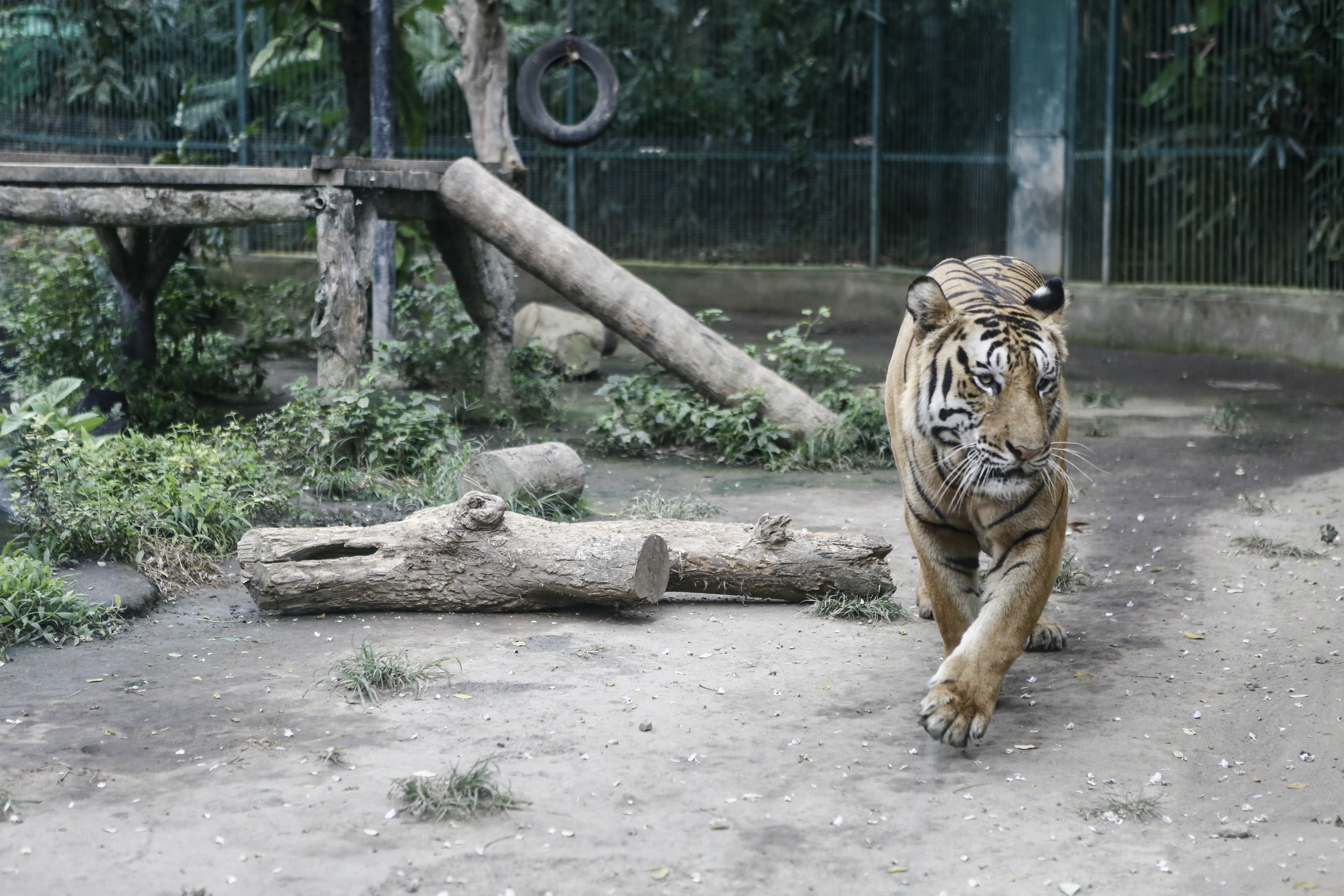 "Tiger King" Joe Exotic's Ex-Husband John Finlay Gets New Teeth